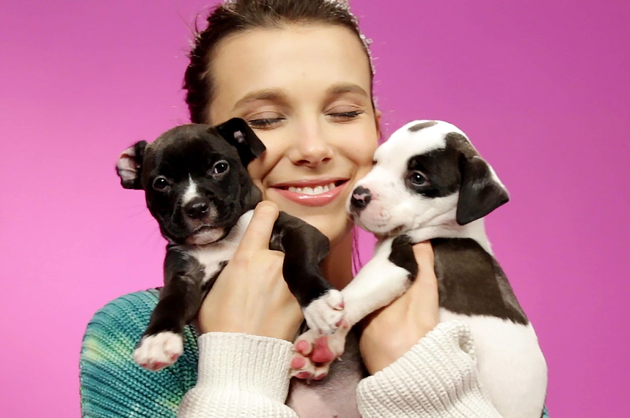 Puppy Interview