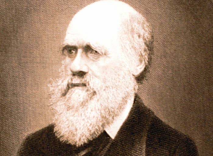 19 Datos que te harán sentir como que no sabes nada