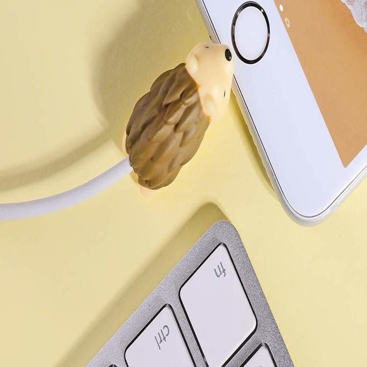 31 Little Things That'll Keep You Company At Your Desk