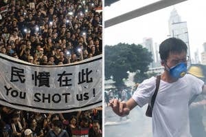 Rosalind Adams (rosalindadams) on BuzzFeed