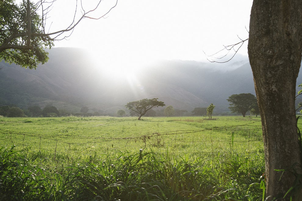 A Crumbling Mansion Surrounded By Starving Farmers — How Venezuela’s ...