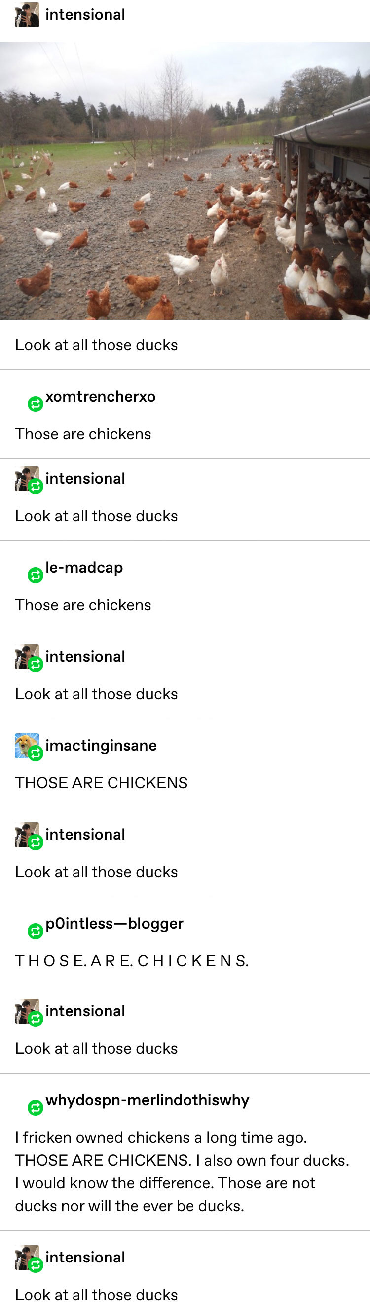 Tumblr Posts About Chickens That'll Make You Laugh