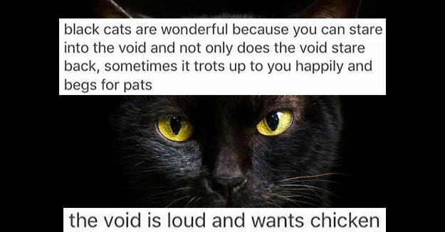 The Best Tumblr Posts For The Week Of June 21, 2019