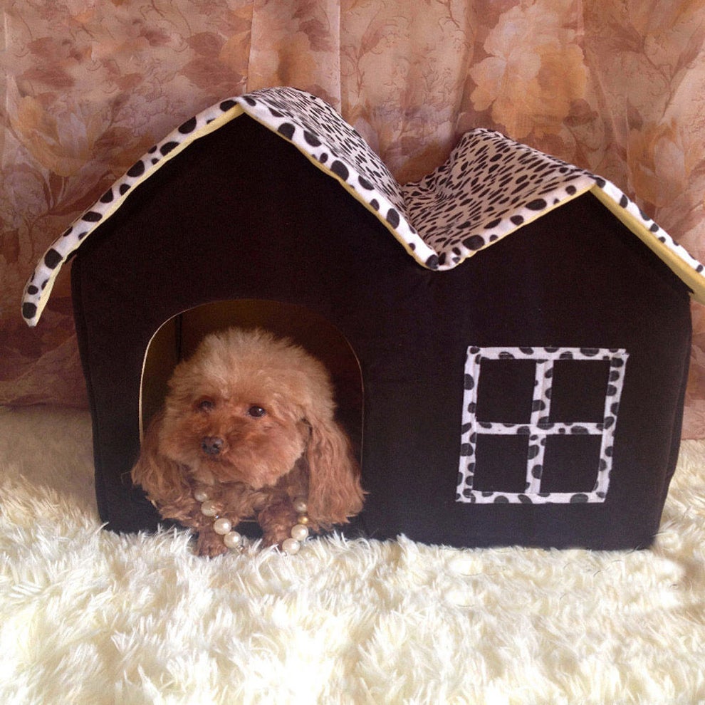 25 Products From Walmart That'll Make Your Pet The Coolest In The ...