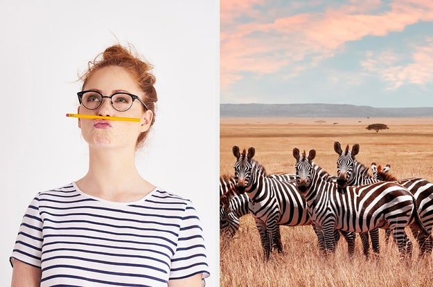 Take This Weird Fact Quiz If You're Bored At Work Right Now