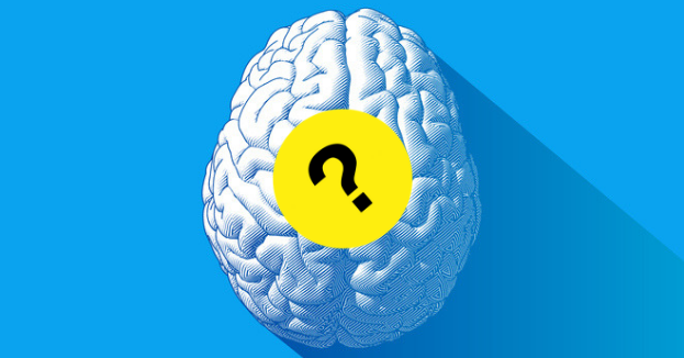 Quiz: Which Part Of The Brain Are You?