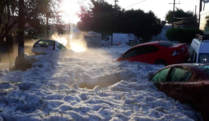 It Snowed Unexpectedly In Mexico, Blanketing Residents Under 3 Feet Of Snow