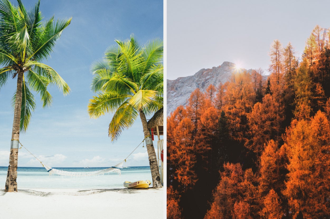 Quiz: Which Season Is The Best Representation Of Your Personality?