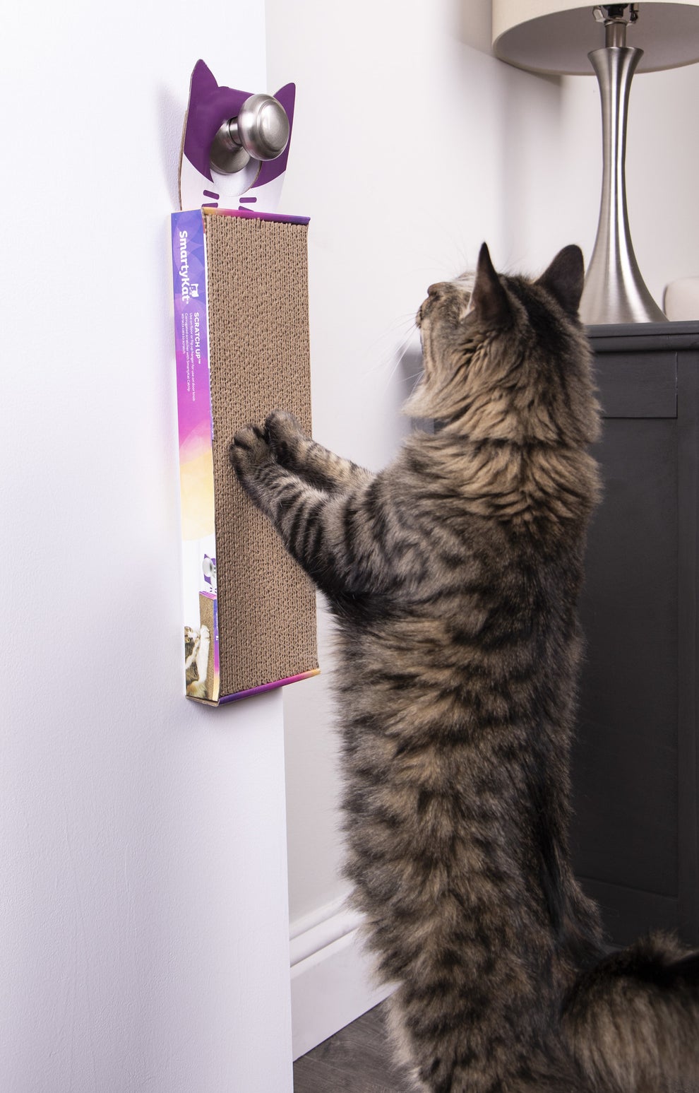 21 Amazing Cat Essentials That You Can Get At Walmart