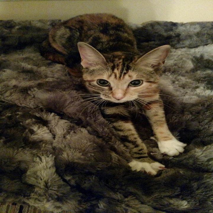 31 Things For Anyone Who Just Wants To Be Cozy All The Time