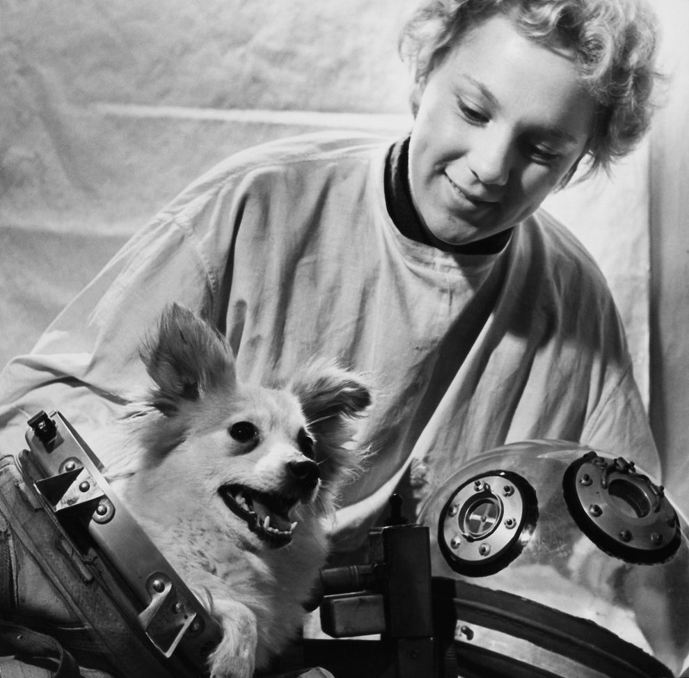 these-pictures-show-the-incredible-story-of-pioneering-space-dogs