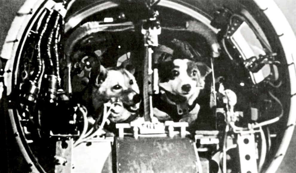 These Pictures Show The Incredible Story Of Pioneering Space Dogs
