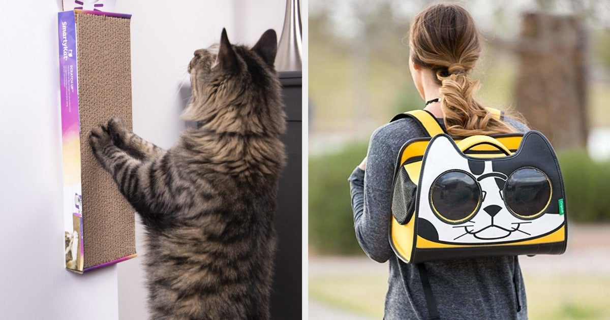 21 Amazing Cat Essentials That You Can Get At Walmart