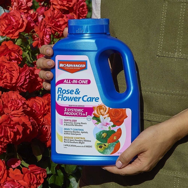 14 Products To (Hopefully!) Keep Your Plants Alive Longer