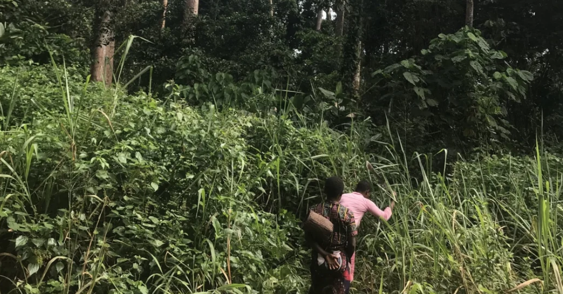 Lawmakers Demand Internal Documents From WWF In Human Rights Probe ...