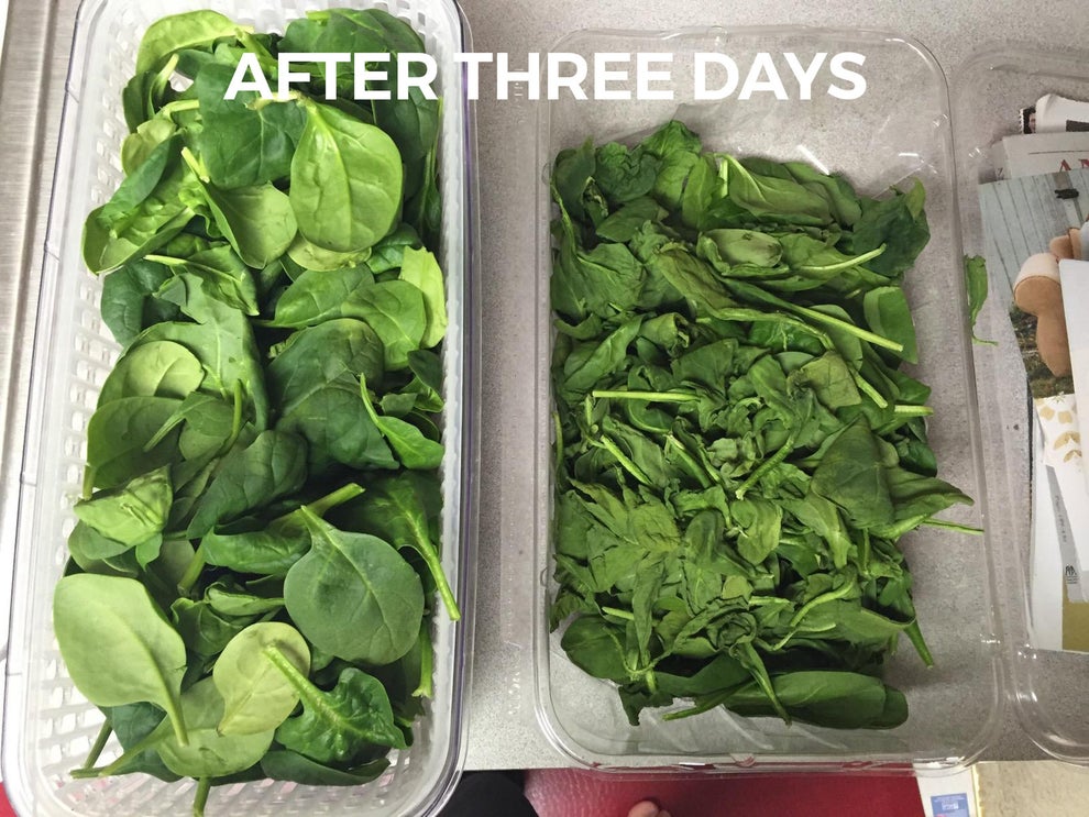 40 Products That'll Probably Make You Feel More Productive Just For ...