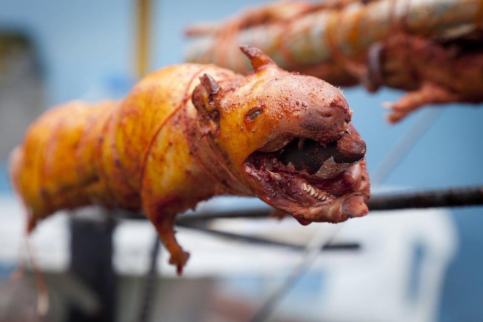 Gordon Ramsay Talked About Eating Guinea Pigs And Revealed They Are ...