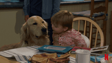 21 Items Your Pet Definitely Deserves