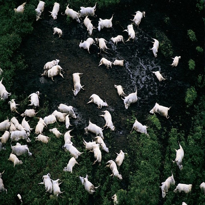 Scary Wikipedia Pages About Lakes, Oceans, And Other Bodies Of Water