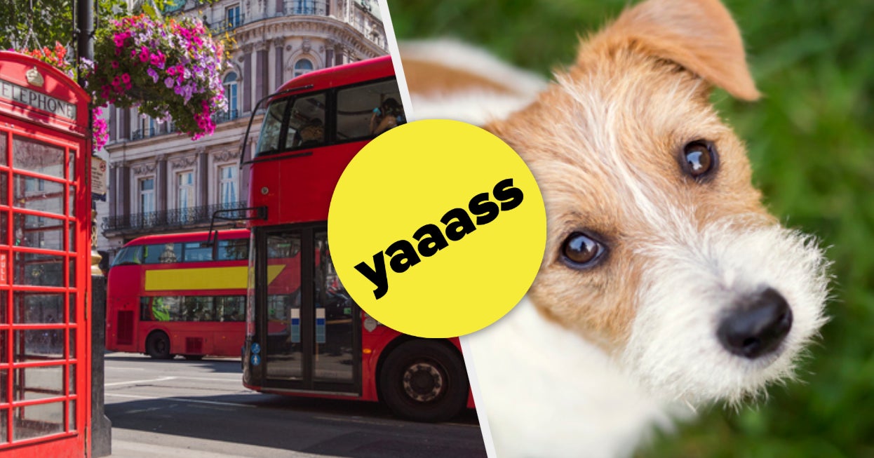Quiz: Your Animal Preferences Will Determine Which City You Should ...