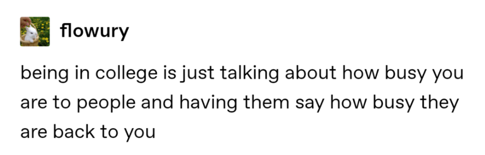 37 Hilarious Tumblr Posts About College That Will Ease Your Back-To ...