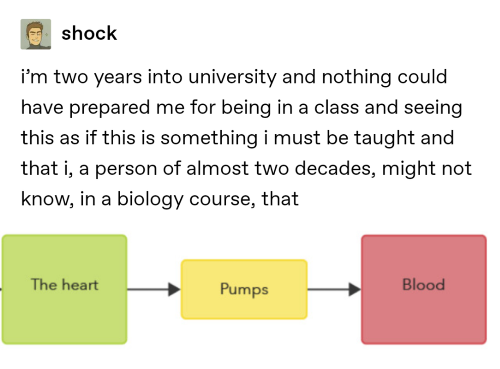 37 Hilarious Tumblr Posts About College That Will Ease Your Back-To ...