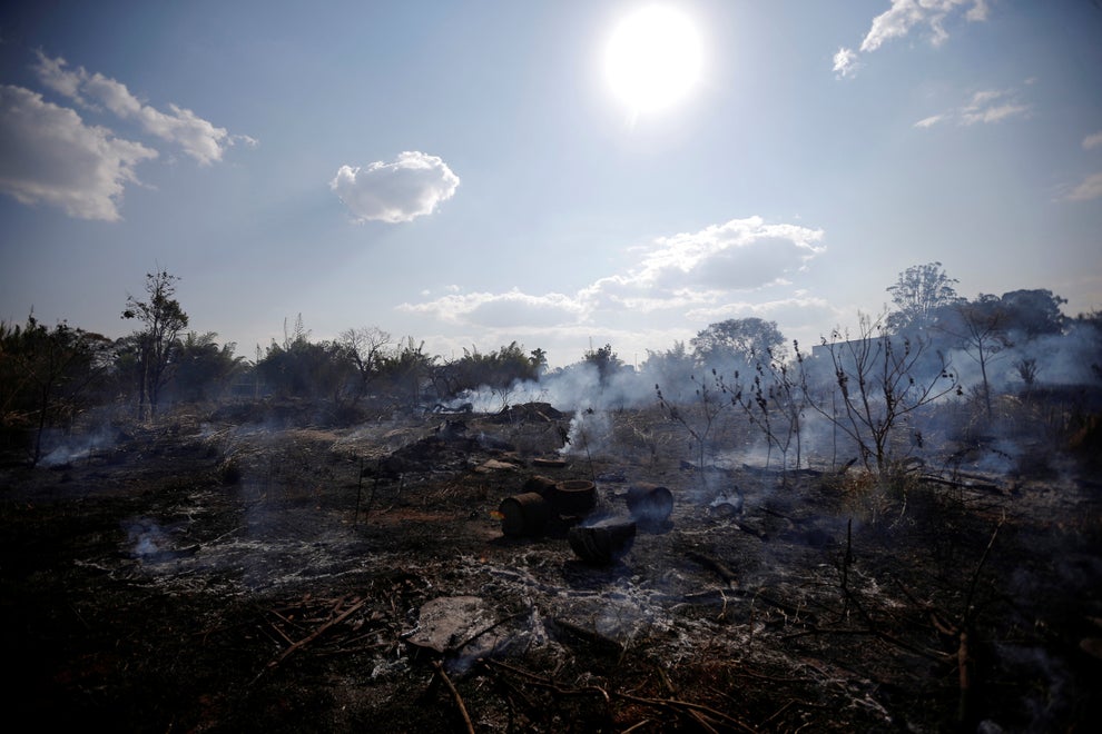 Photos: Amazon Rainforest Damage And Fires