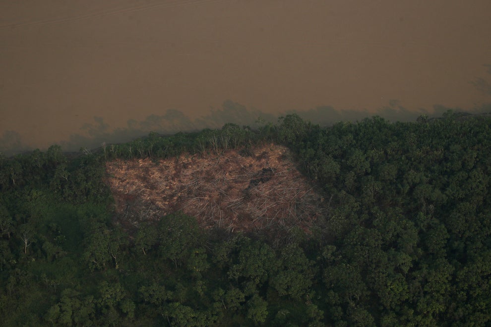 Photos: Amazon Rainforest Damage And Fires