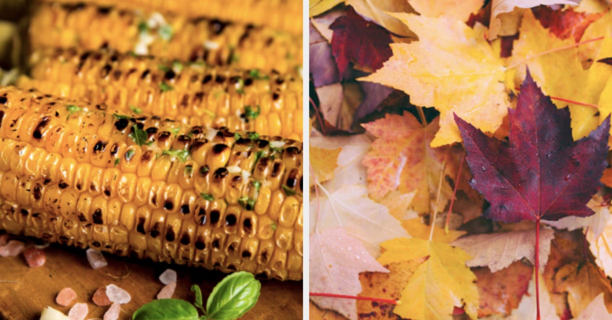The Food Pictures You Choose Will Reveal Your Favorite Season