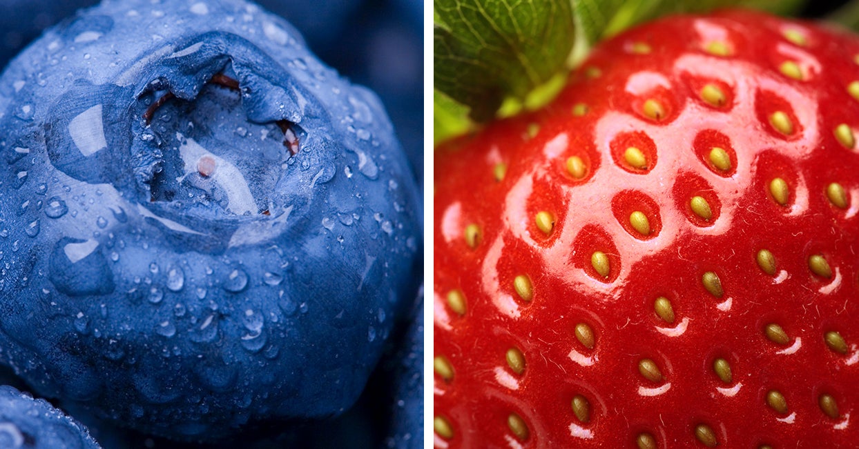 Quiz: Can You Identify These Berries?