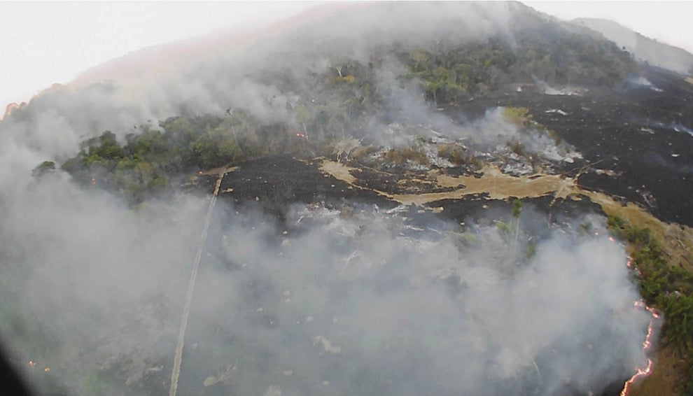 Photos: Amazon Rainforest Damage And Fires