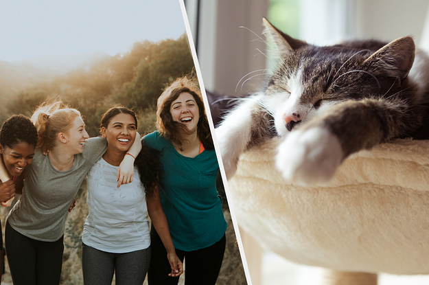 How You Respond To These Questions Will Determine The Break You Need ...