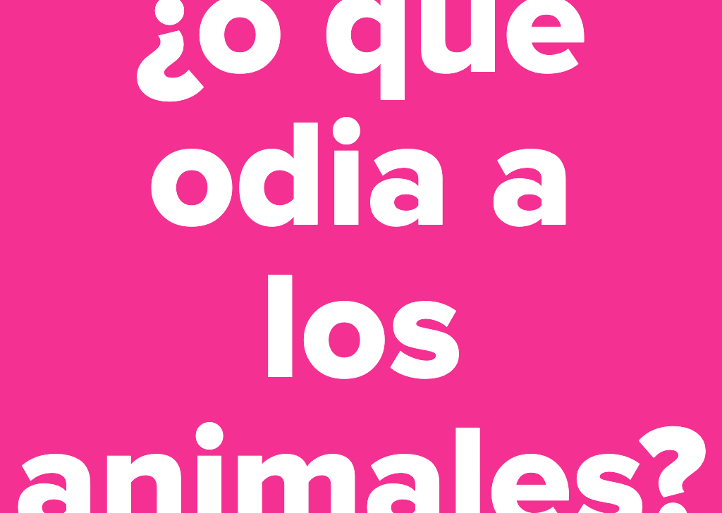 Este ¿Que prefieres? de citas nefastas te va a frustrar muchísimo