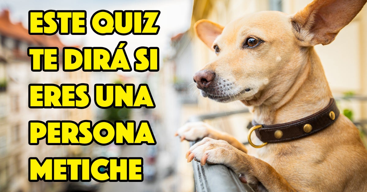 Si has vivido 30 de estas 37 situaciones, eres una persona MUY metiche