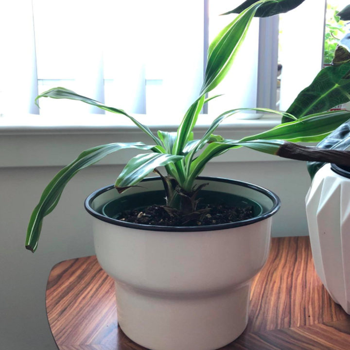 41 Cheap Products That Are Totally Worth A Couple Of Bucks