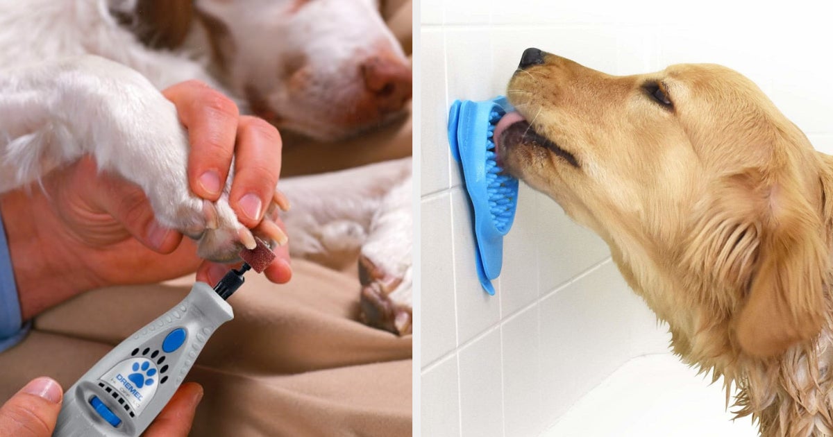 29 Products That’ll Help Make Grooming Your Pet So Much Easier