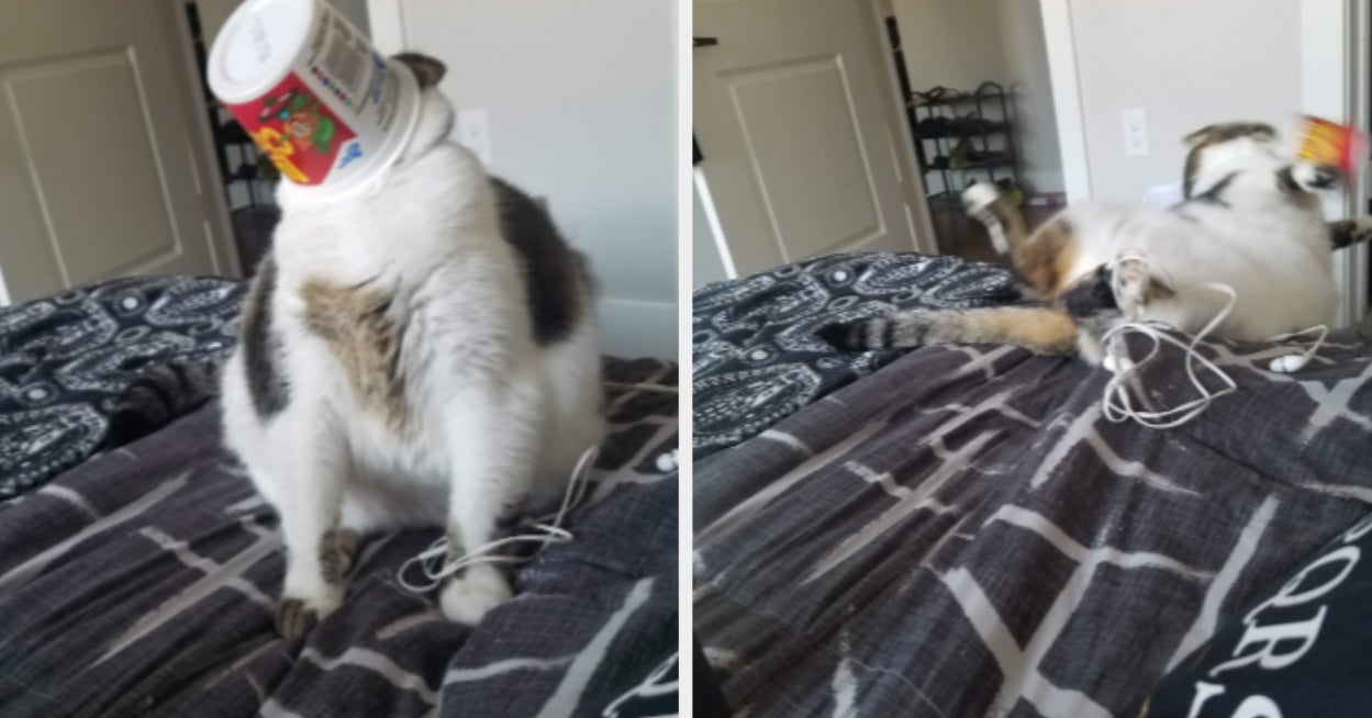 14 Funny Posts From The Internet This Week