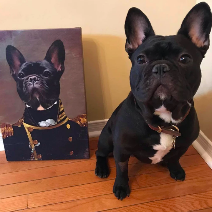 22 Animal-Themed Things To Add Joy To Your Pet-Less Place