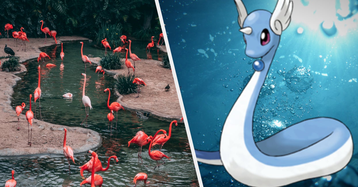 Pick Some Animals To See Which Pokémon Type Is Perfect For You