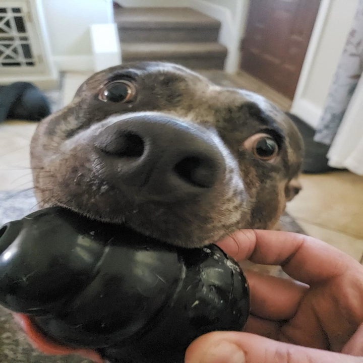 33 Long-Lasting Things That You'll Probably Only Need To Buy Once