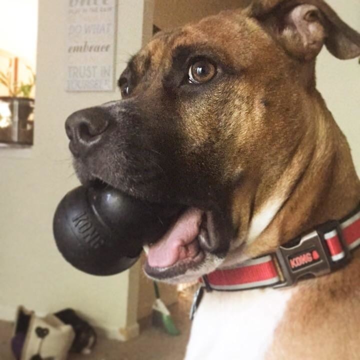 33 Long-Lasting Things That You'll Probably Only Need To Buy Once