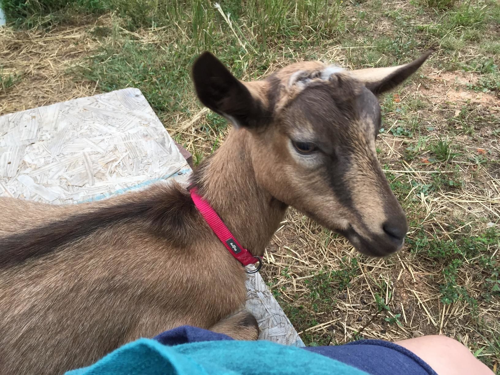 33 Long-Lasting Things That You'll Probably Only Need To Buy Once