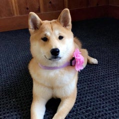 33 Long-Lasting Things That You'll Probably Only Need To Buy Once