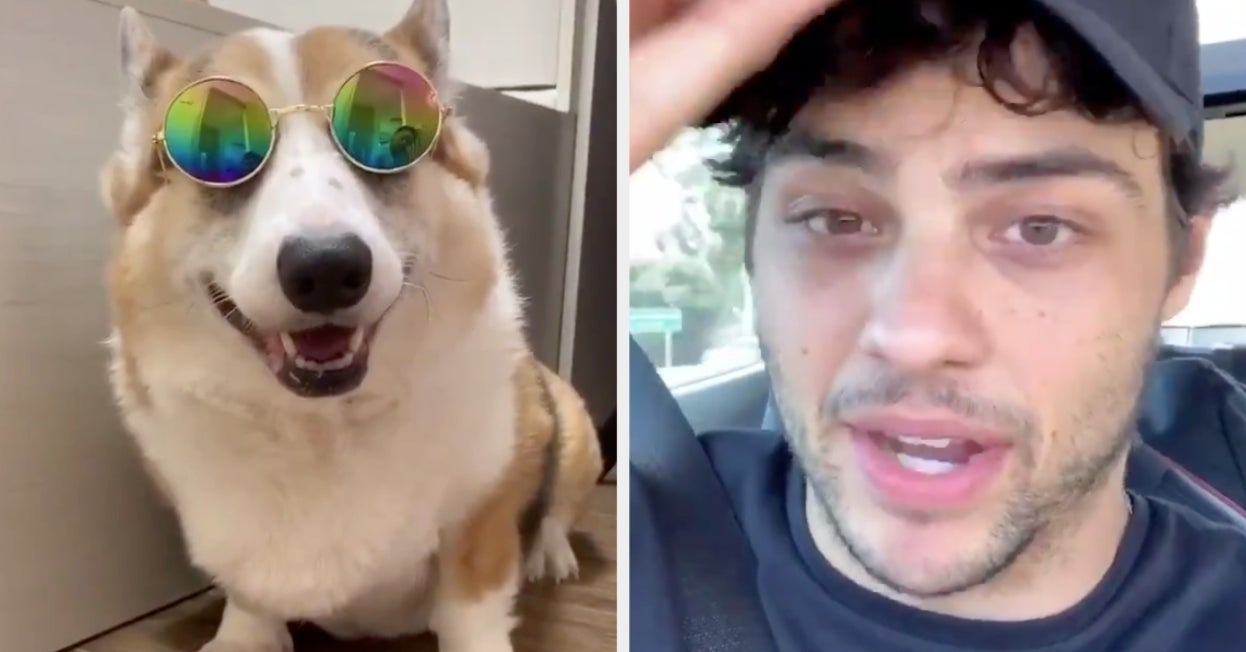 18 Funny Internet Posts From This Week You Need To See