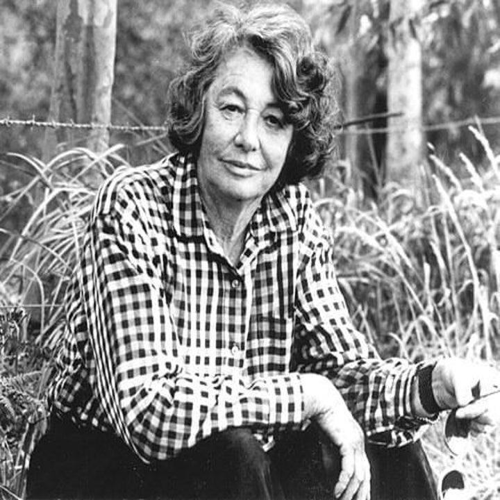 Australian Authors That You Don't Know About