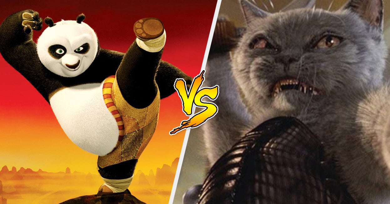 Are You A Panda Or A Cat Person?
