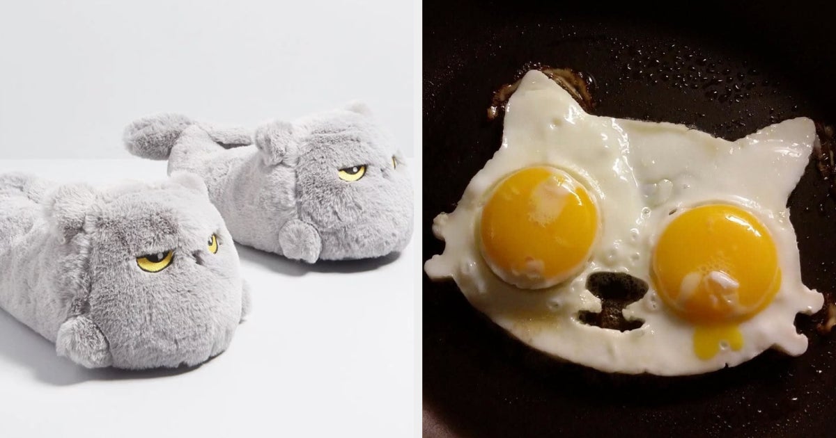 25 Things Anyone Who Loves Cats Will Probably Adore