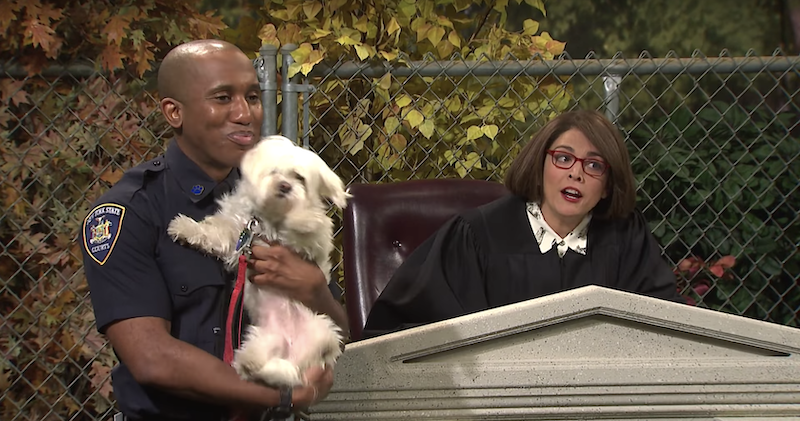 The Dogs In This "SNL" Sketch Kept Making The Cast Break Character And ...