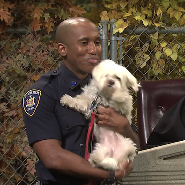 The Dogs In This "SNL" Sketch Kept Making The Cast Break Character And ...