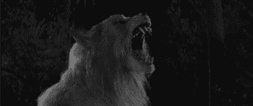 10 Werewolf Movies That Will Leaving You Howling